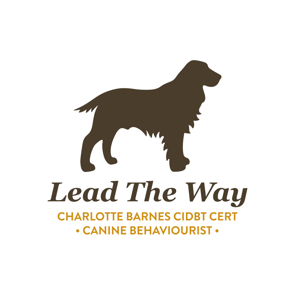 Contact – Lead The Way